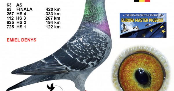 63th place - BELG-3057567-22 - EMIEL DENYS