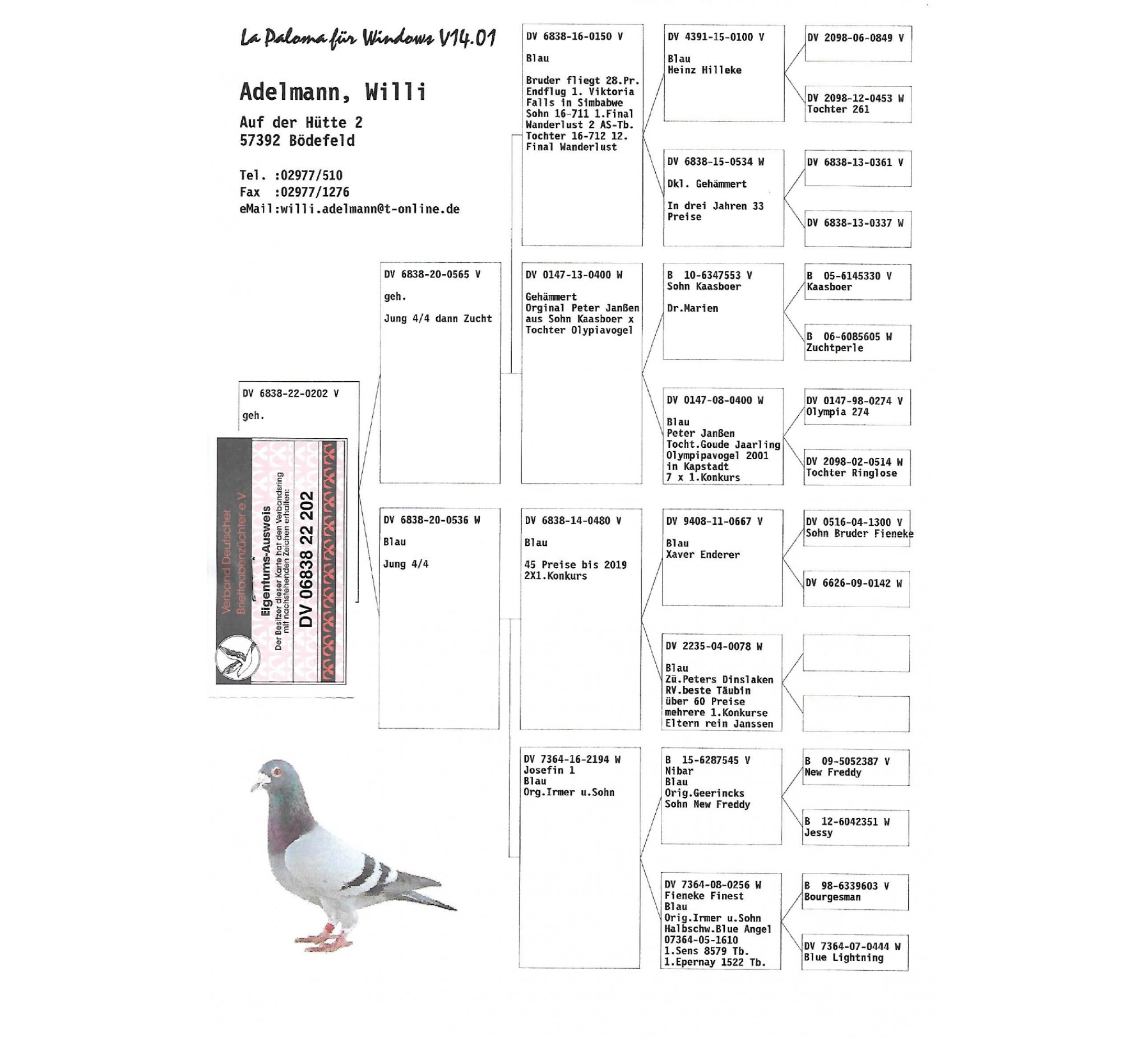 84th place - DV-06838-22-202 - HOTEL ADELMANN Team A