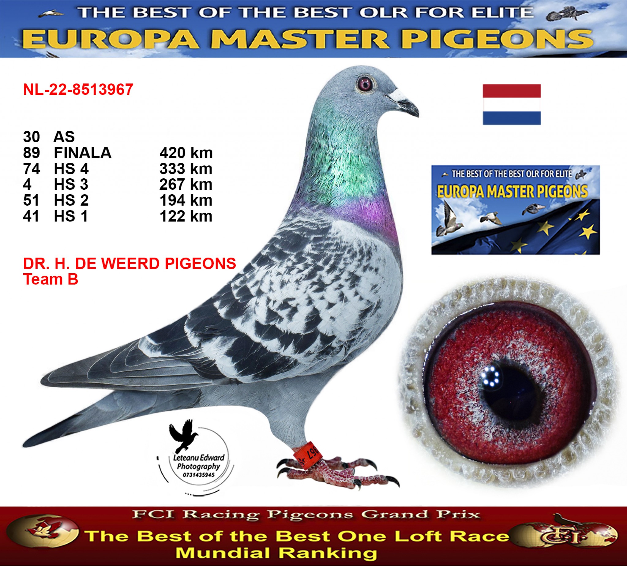 89th place - NL-22-8513967 - DR. H. DE WEERD PIGEONS