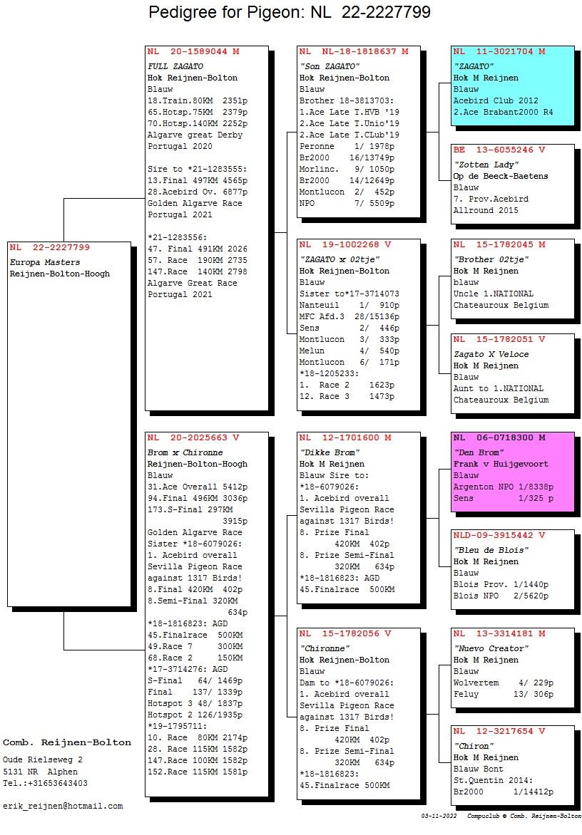 2227799-NL-22 - HOK REIJNEN - BOLTON