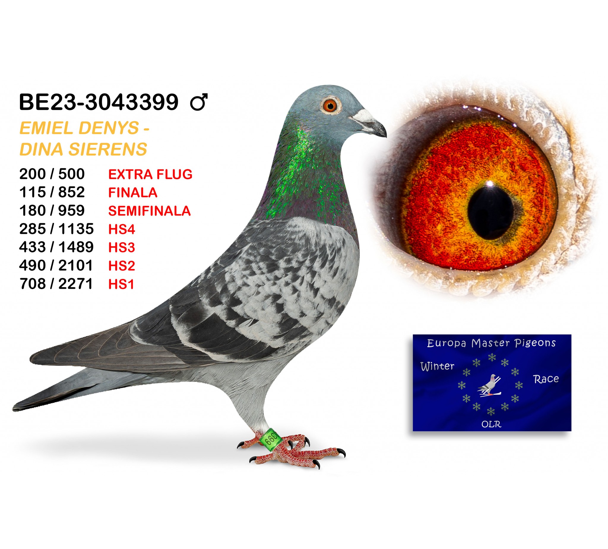 115th place - BE-23-3043399 EMIEL DENYS-DINA SIERENS