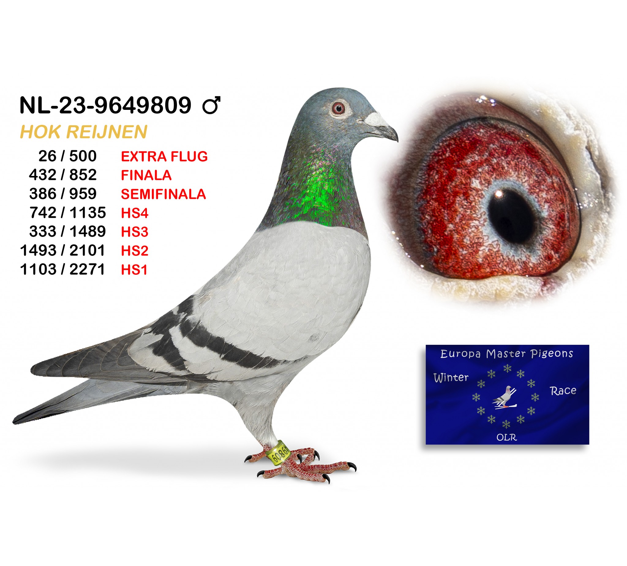 (♂️) 432th place - NL-23-9649809 - HOK REIJNEN