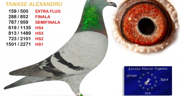 (♀️) 159th place EXTRA FLUG - RO-23-0458943 - TANASE ALEXANDRU