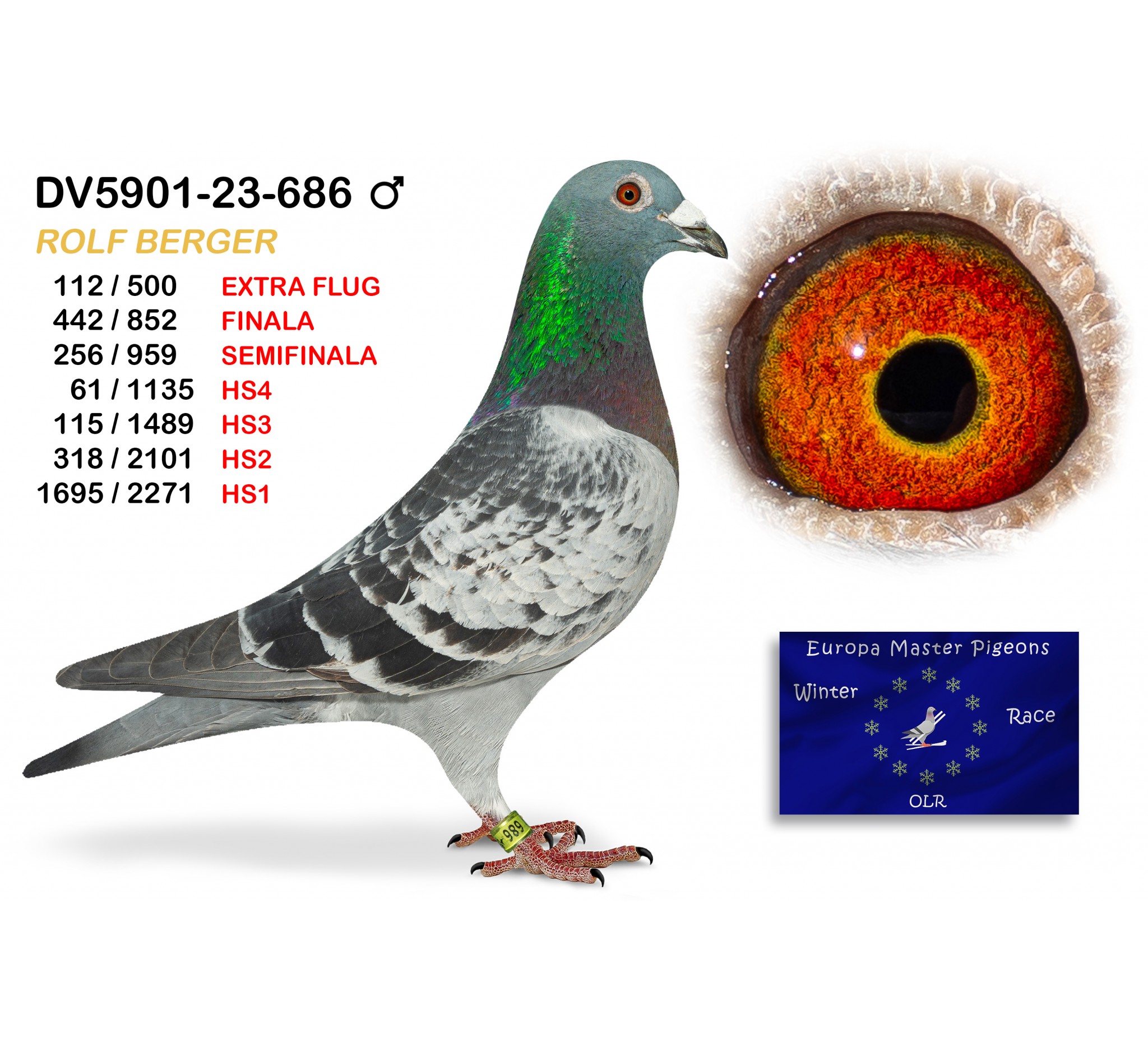 (♂️) 61th place HS4 - DV-5901-23-686 ROLF BERGER