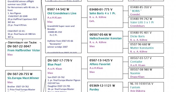 DV-0507-22-3047 - ALFONS KLAAS