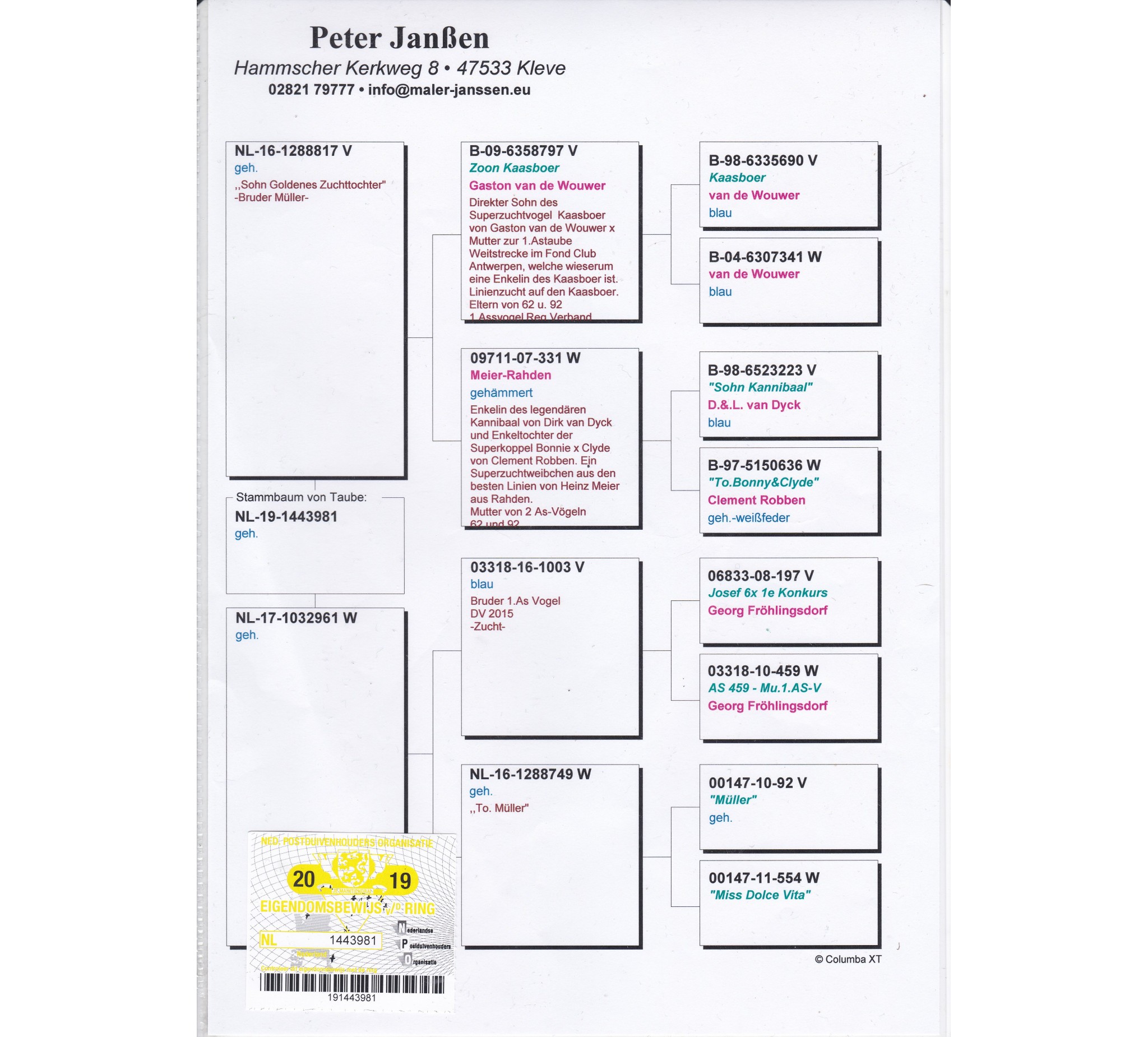 153th place - Pieter Kos & Peter Jansen FCI Team A