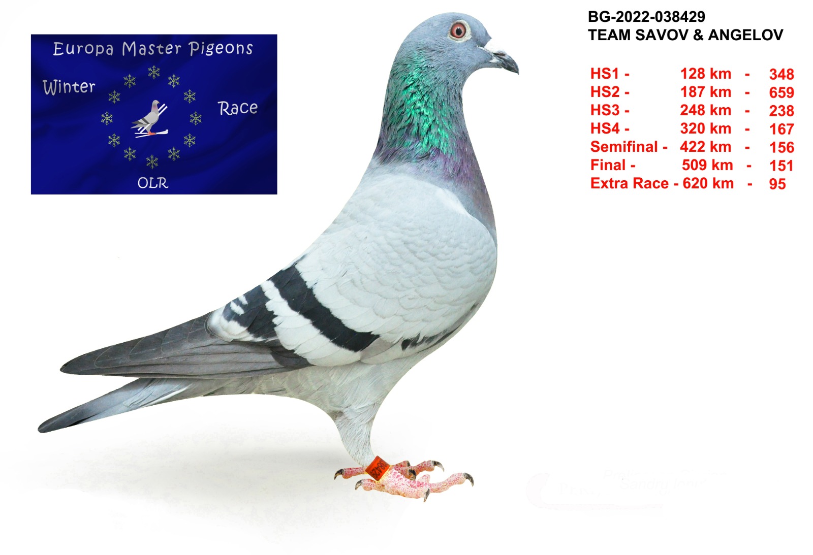 95th place - BG-22-038429 - Team Savov & Angelov